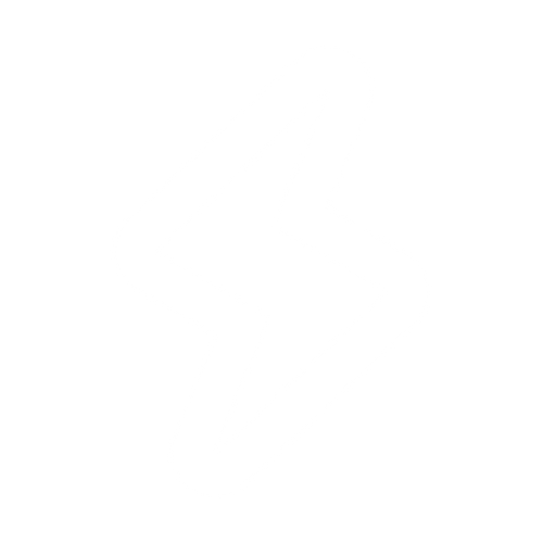 TEKE™ DMX + Bluetooth Lighting System